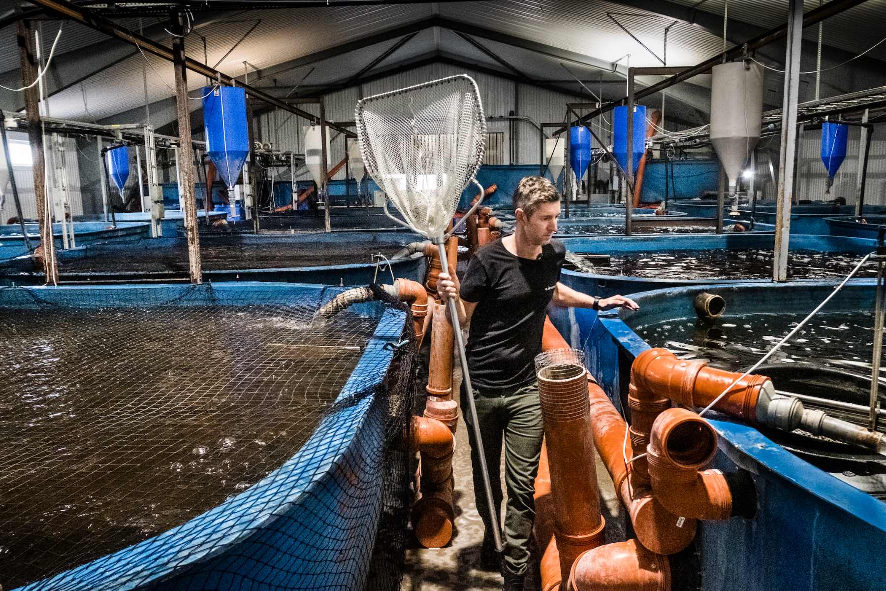 Gårdsfisk vill minska överfisket – tar in 6 miljoner │ Impact Loop